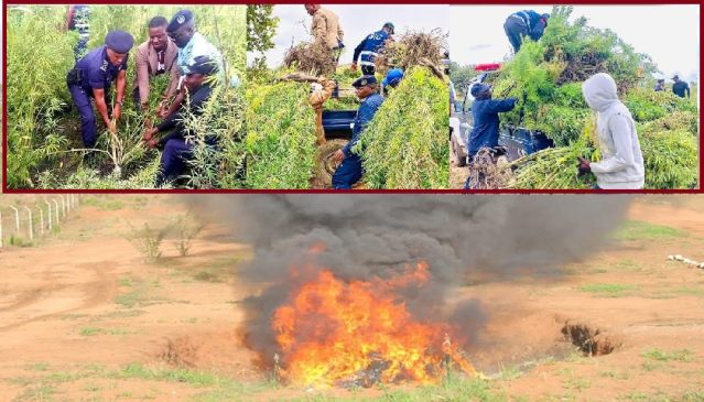 ANGOLA QUEIMA LIAMBA (MAS) RUANDA AUTORIZA | Jornal Folha 8